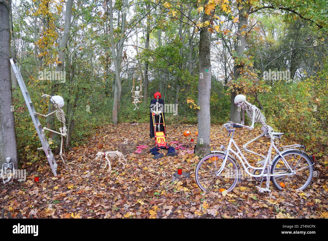 Thueringer Zoopark Erfurt - Halloween 31.10.2023, Erfurt, Thueringer ...