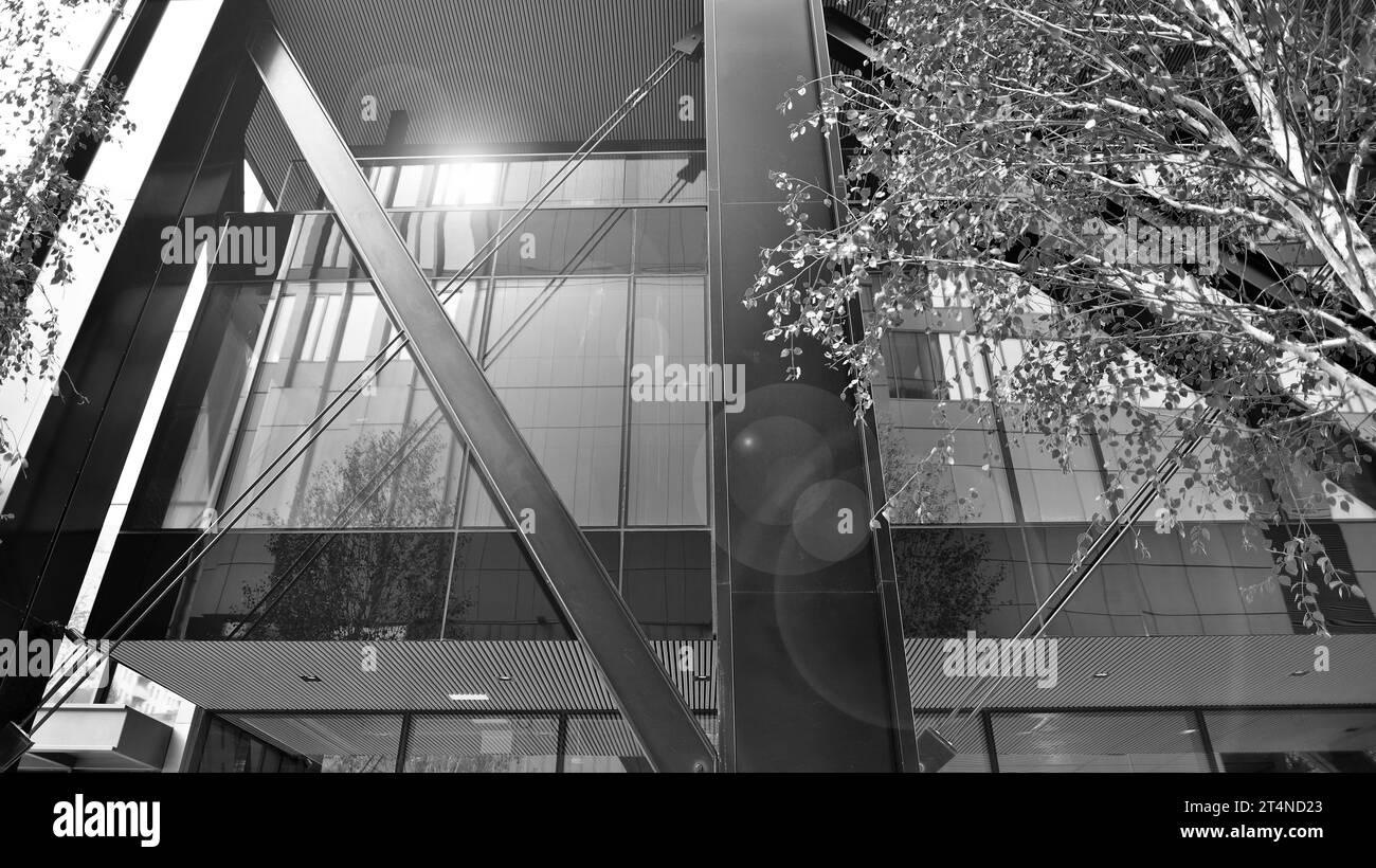 Combination of metal and glass wall material. Steel facade on columns ...