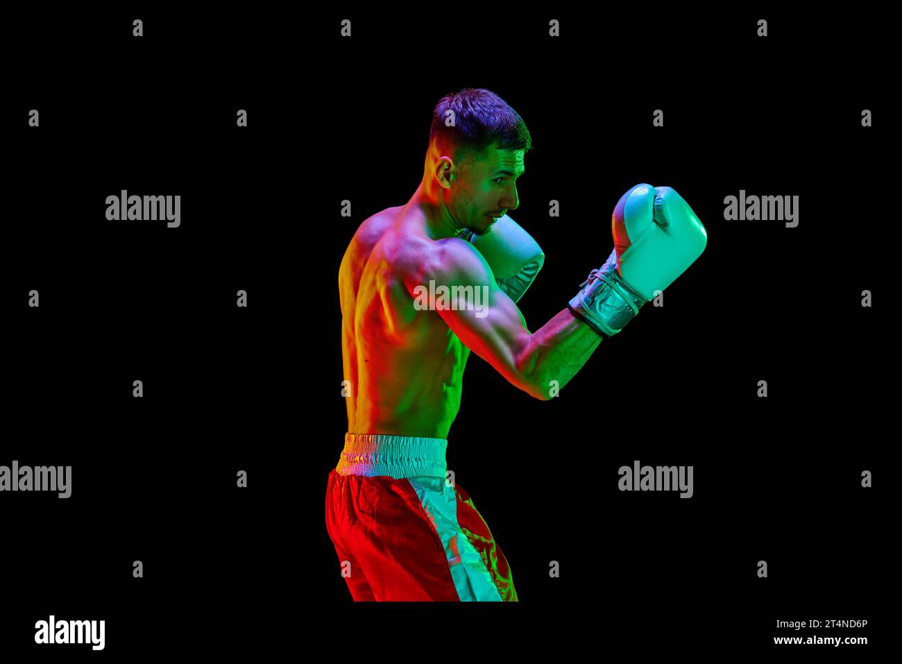 Side view portrait of sportsman boxer, mixed martial art fighter ...