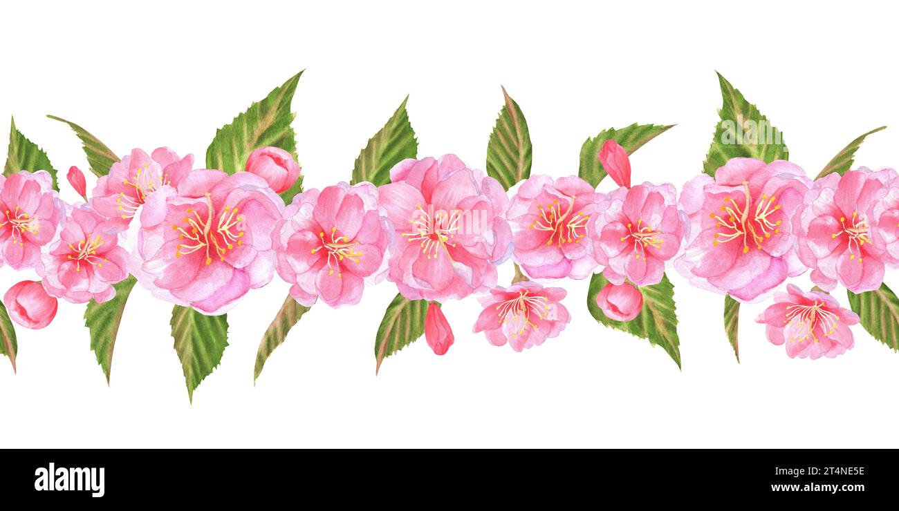 Hand-drawn watercolor illustration. Floral seamless garland with sakura ...