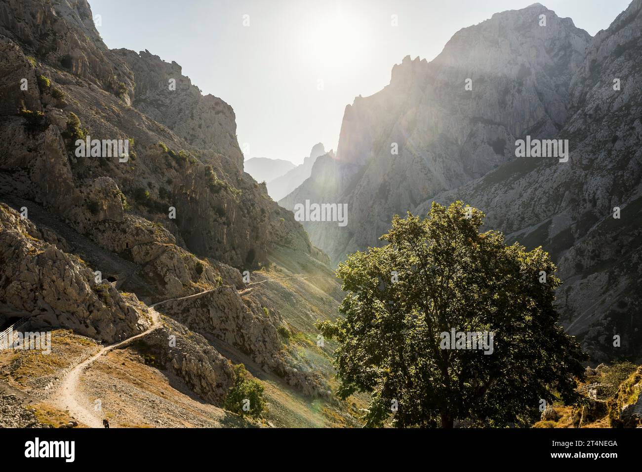 Hiking trail through the Cares Gorge, Rio Cares, Picos de la Europa ...