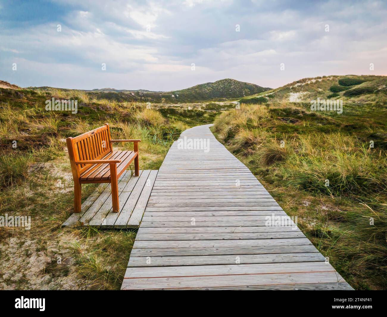 Bench in the dunes of the heath landscape, bench, seat, empty, lonely ...
