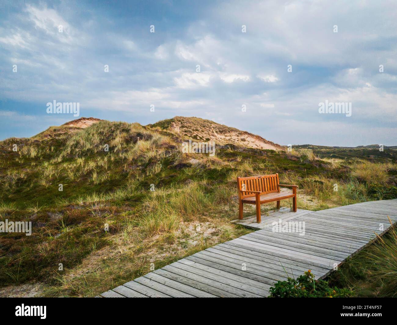 Bench in the dunes of the heath landscape, bench, seat, empty, lonely ...