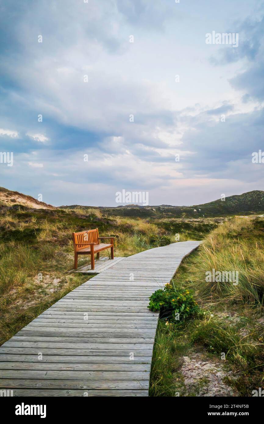 Bench in the dunes of the heath landscape, bench, seat, empty, lonely ...
