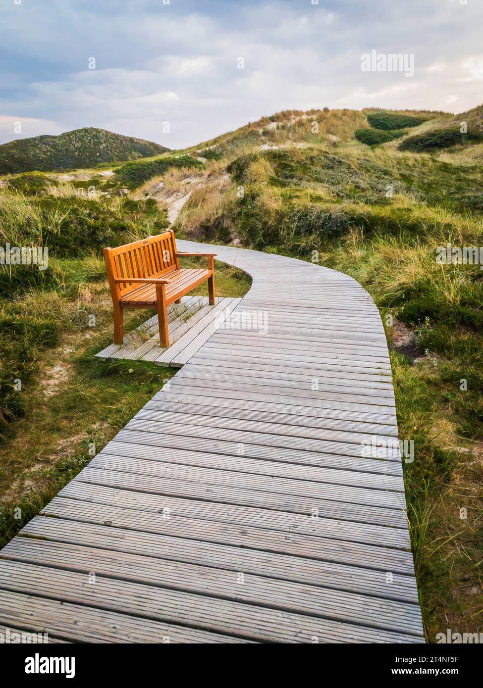 Bench in the dunes of the heath landscape, bench, seat, empty, lonely ...