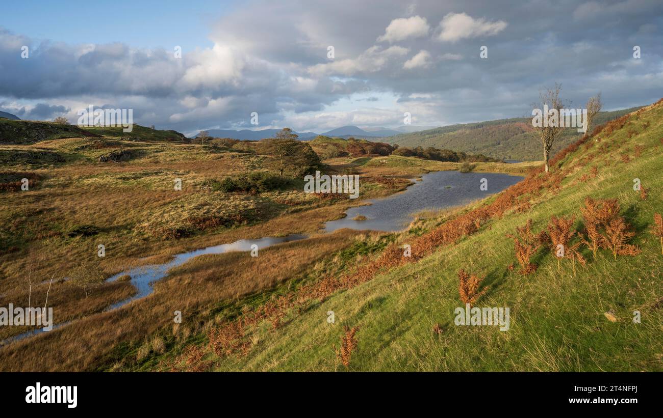 Typical road in late summer with lake, Lake District National Park ...