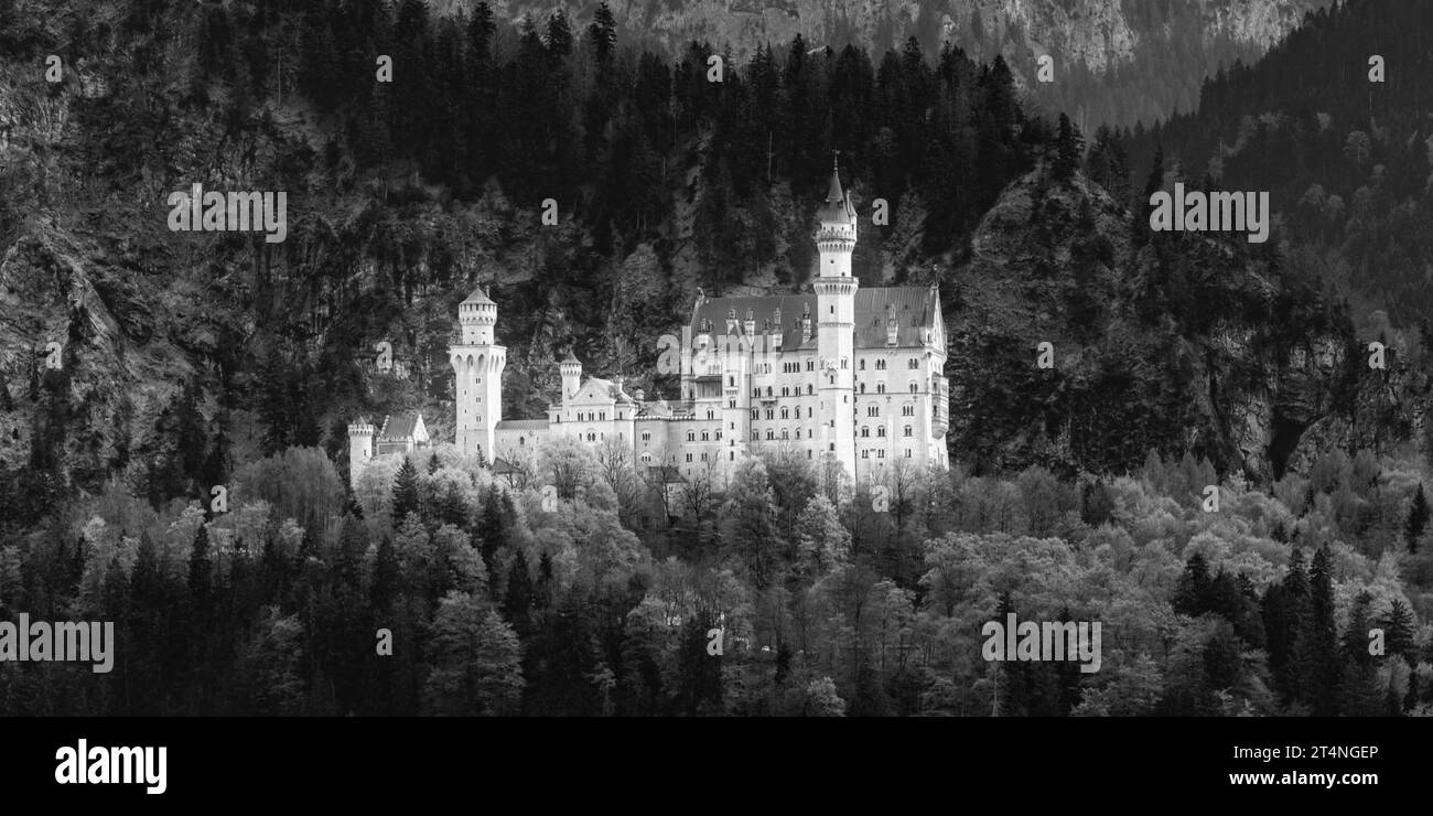 Neuschwanstein Castle near Hohenschwangau in spring, Romantic Road ...