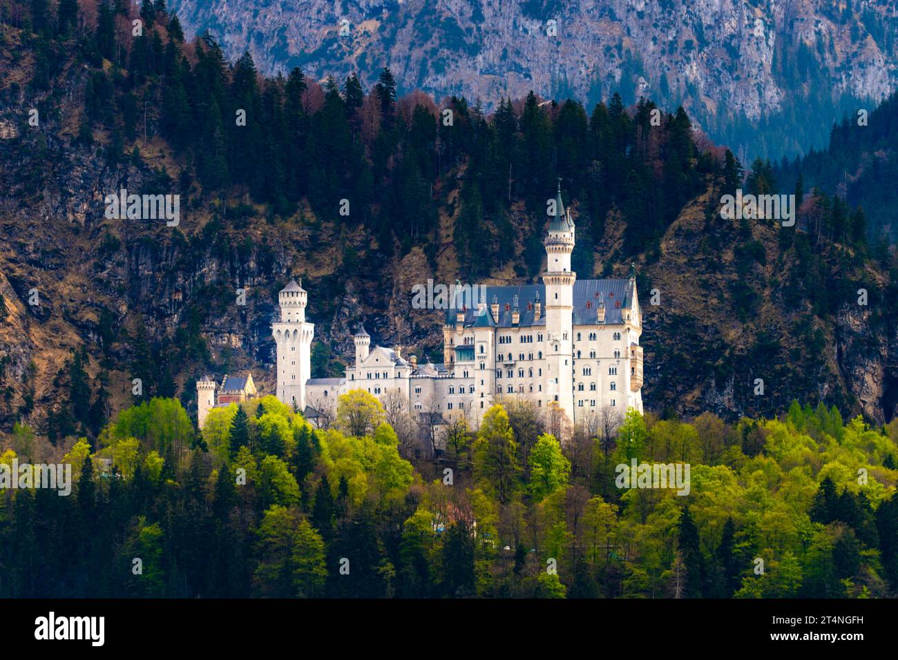 Neuschwanstein Castle near Hohenschwangau in spring, Romantic Road ...