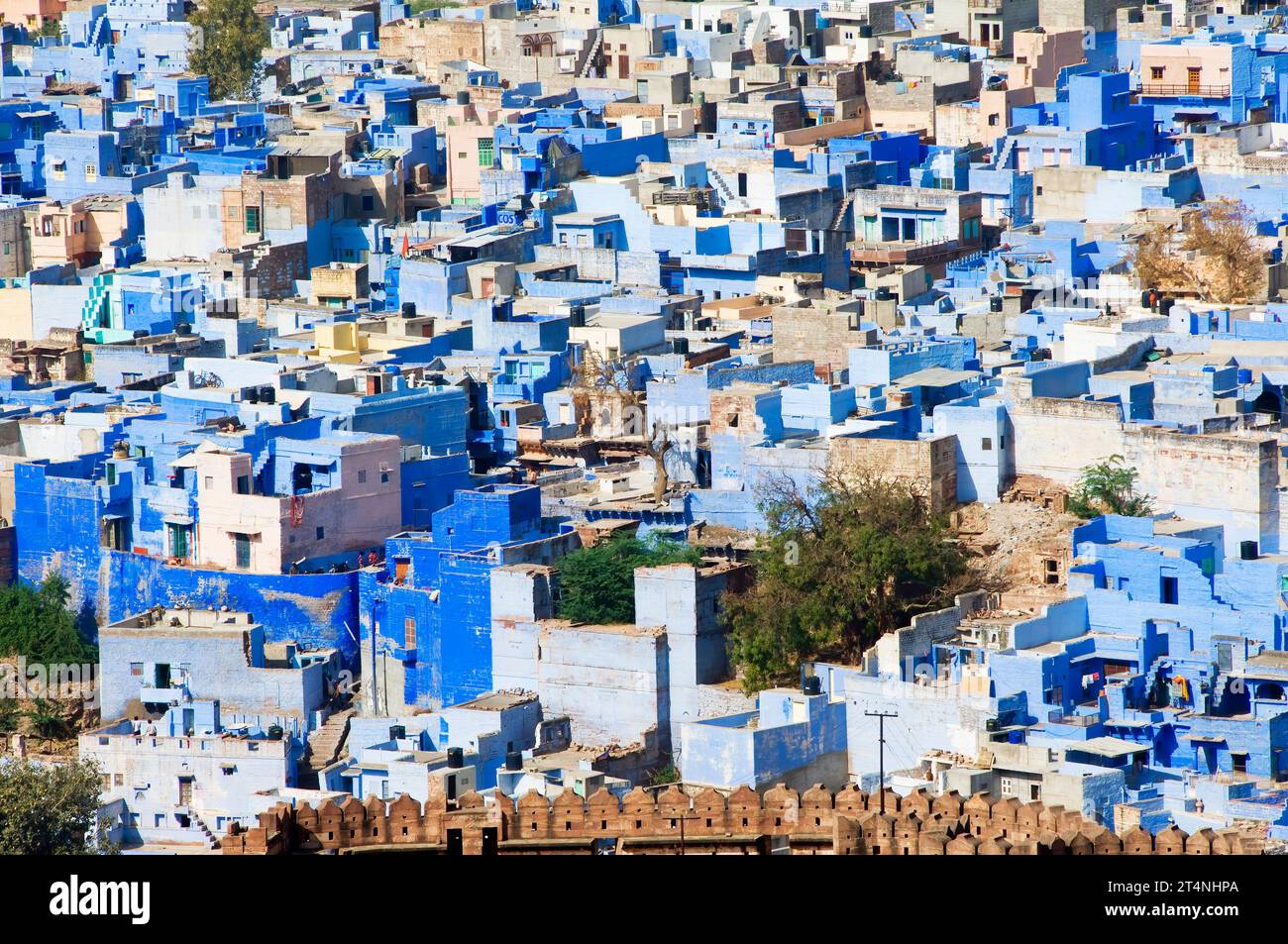 Jodhpur, Blue painted houses, Rajasthan, India Stock Photo - Alamy
