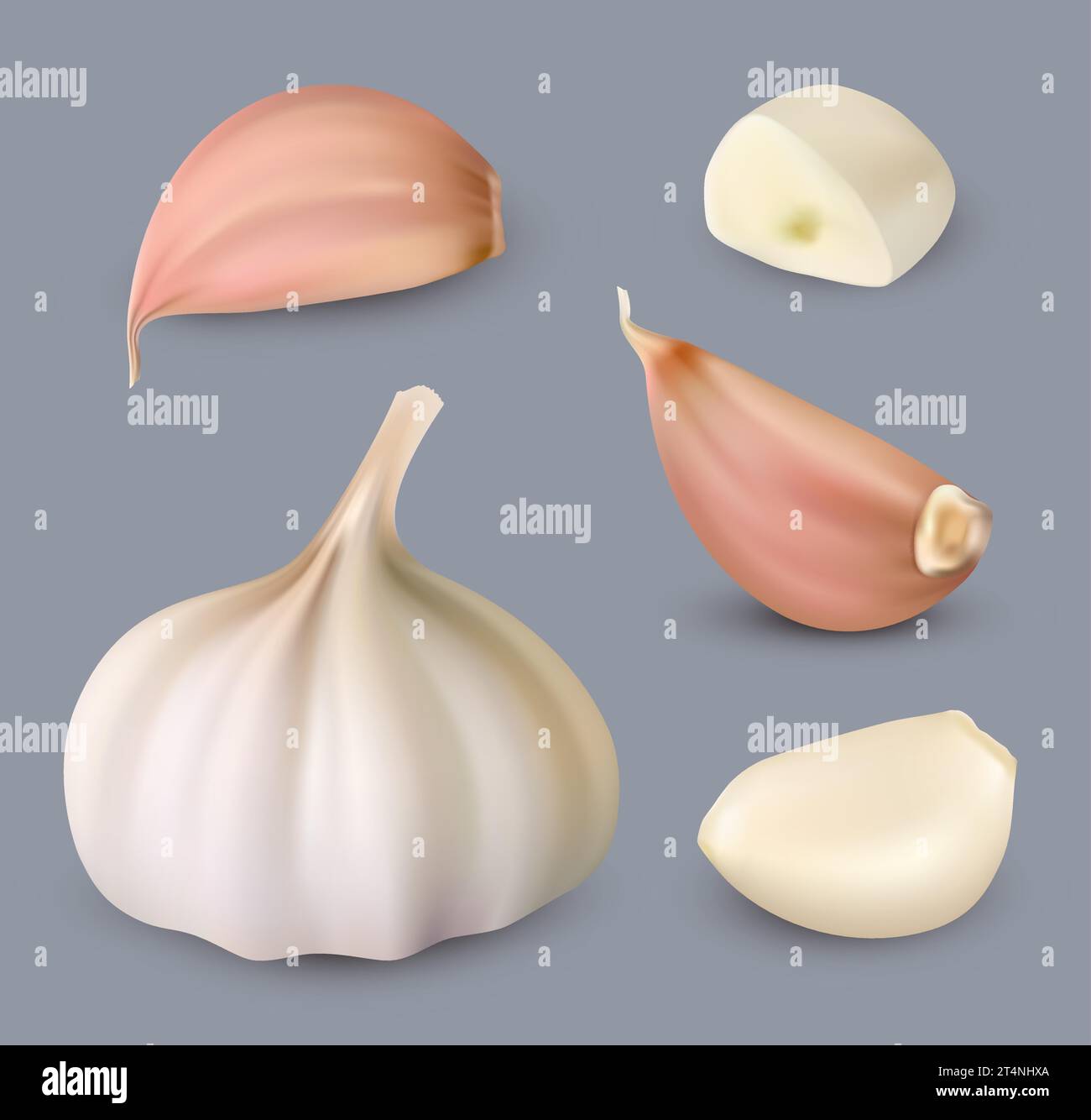 Garlic. Vegetables realistic set with garlic pieces peeled decent ...