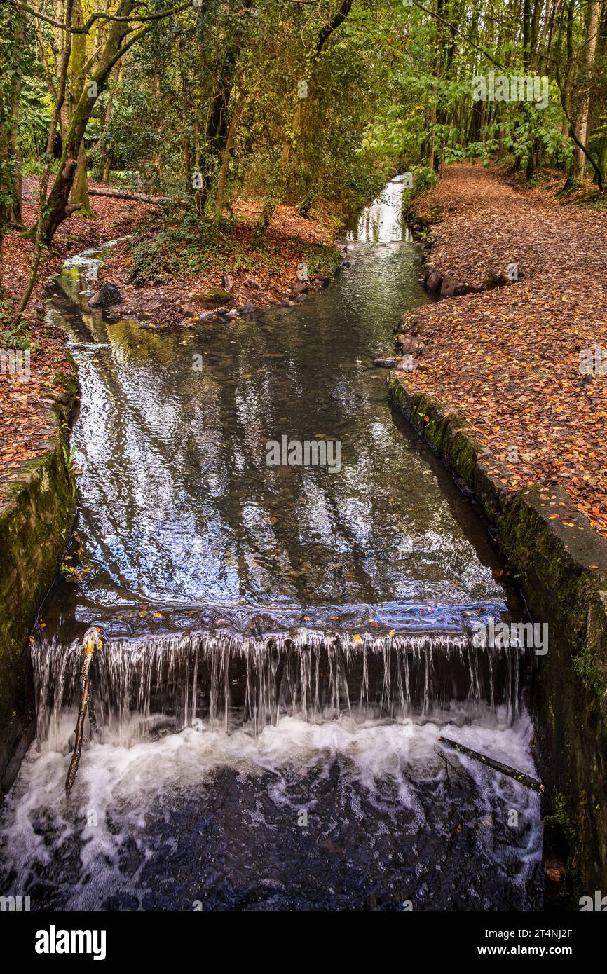 Tehidy stream flowing through Tehidy Woods Country Park in Cornwall in ...