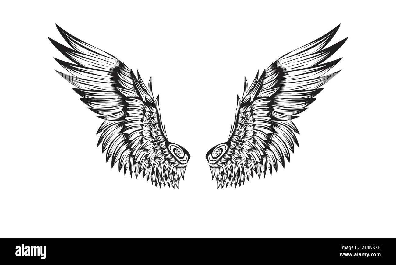 Vintage vector angel wings free vector hi-res stock photography and ...