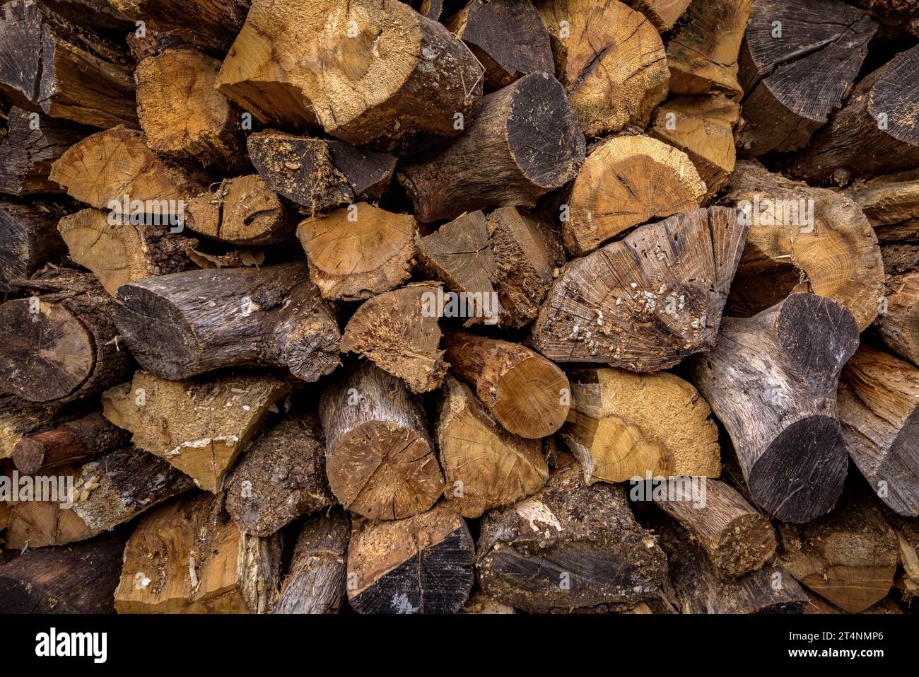 Casa de leña hi-res stock photography and images - Alamy