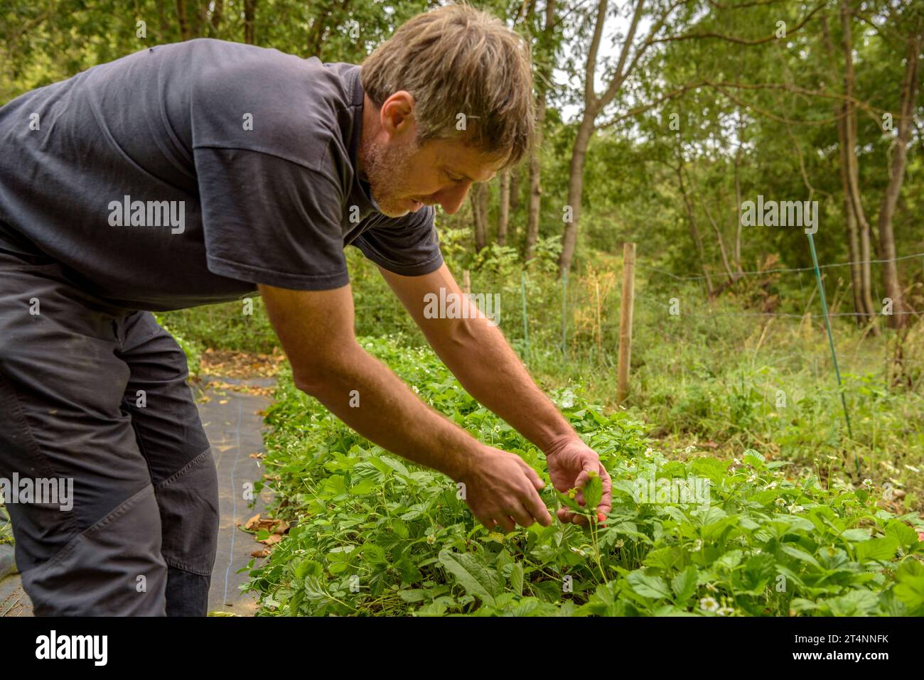 Pages del camp hi-res stock photography and images - Alamy