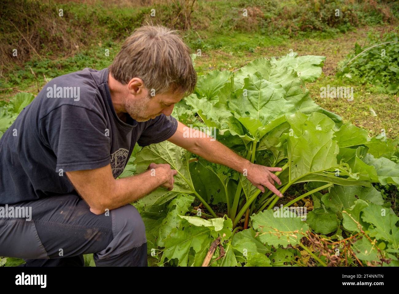Base de travail hi-res stock photography and images - Alamy