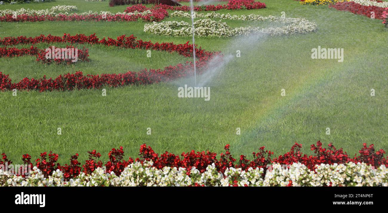 Automatic irrigation system of the flower garden with well-kept ...