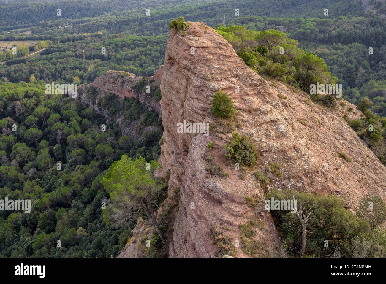 Rocas sedimentarias rocas hi-res stock photography and images - Alamy