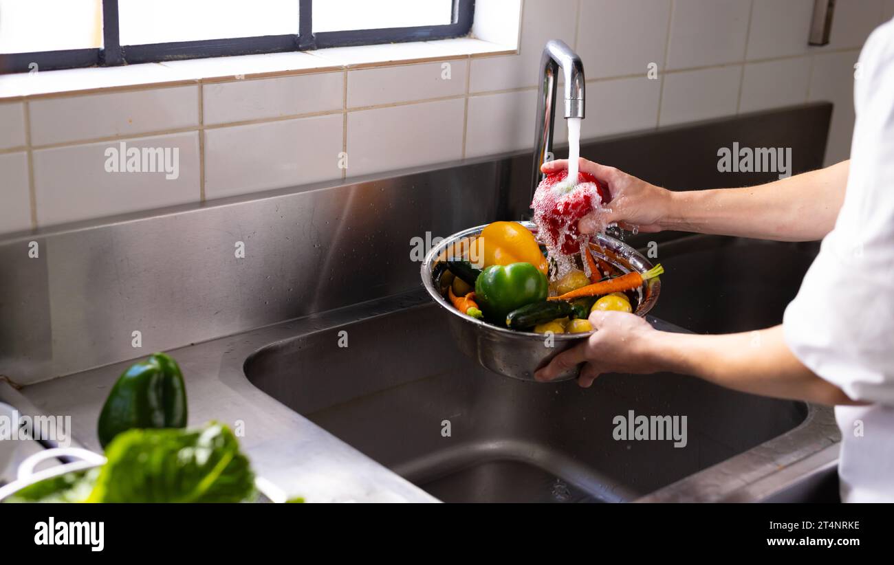 Caucasian male chef washing vegetables in sink in restaurant kitchen ...