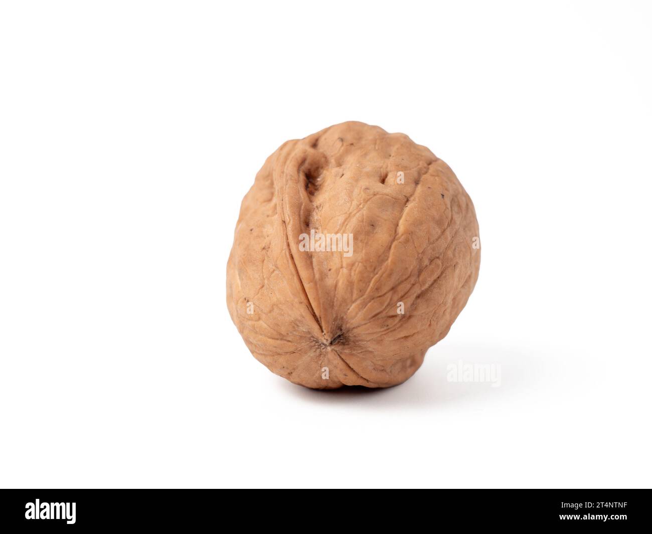 Walnut isolated on white background. Walnut closeup on white Stock ...