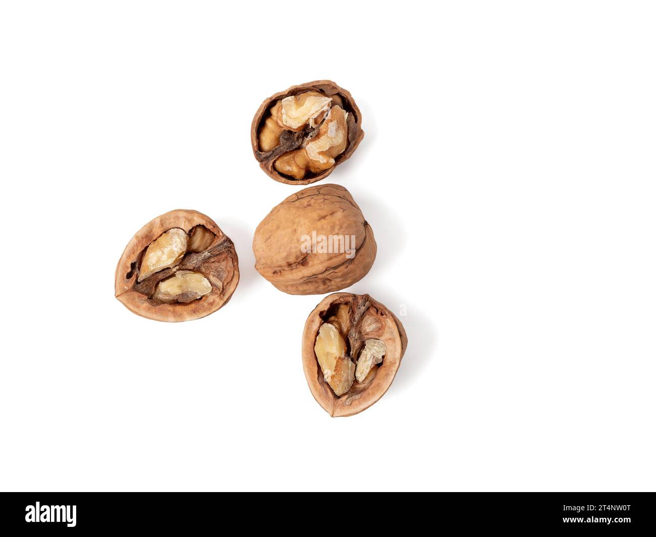Walnut isolated on white background. Walnut closeup on white Stock ...