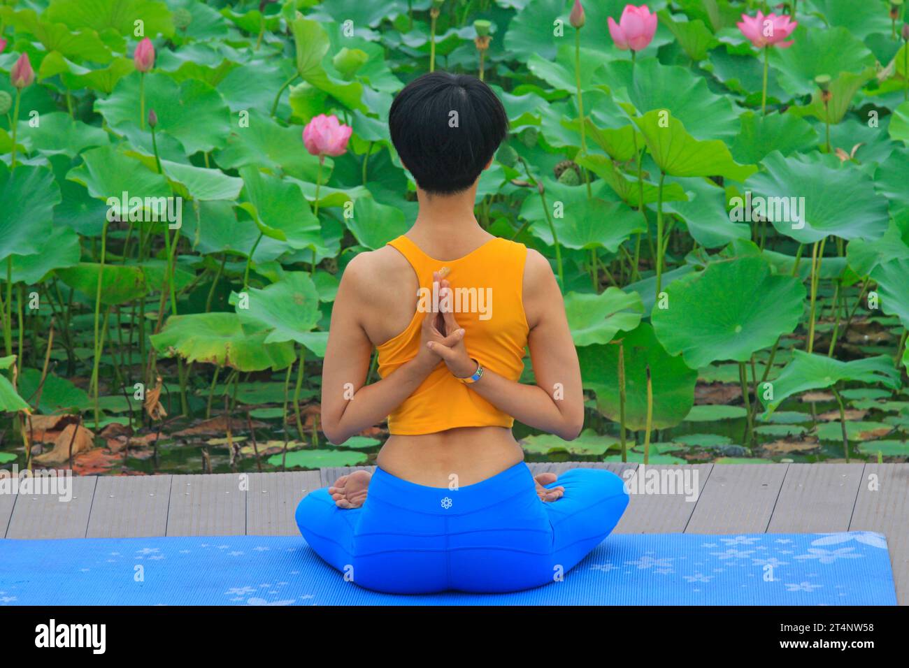 a woman doing yoga exercise in the park, luannan county, hebei province ...