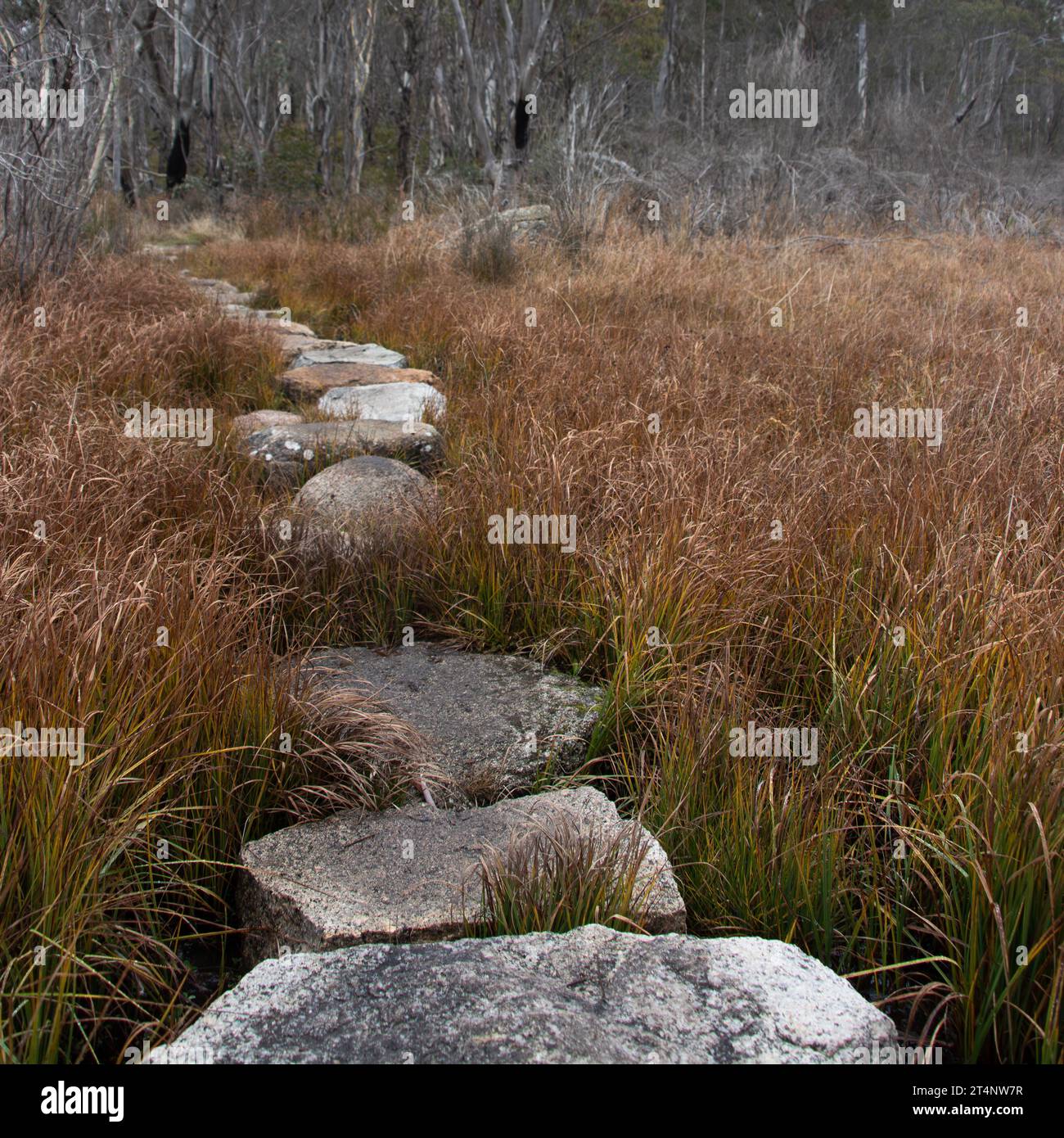Rock Path on Square rock trail, Canberra Australia Stock Photo - Alamy