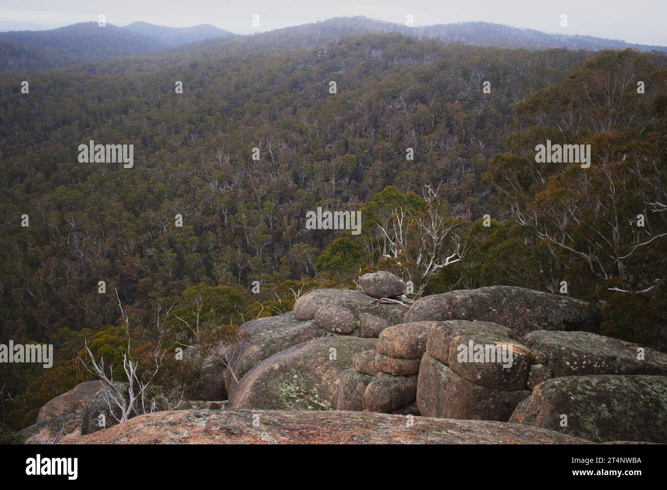Square Rock outlook, Canberra, Australia Stock Photo - Alamy
