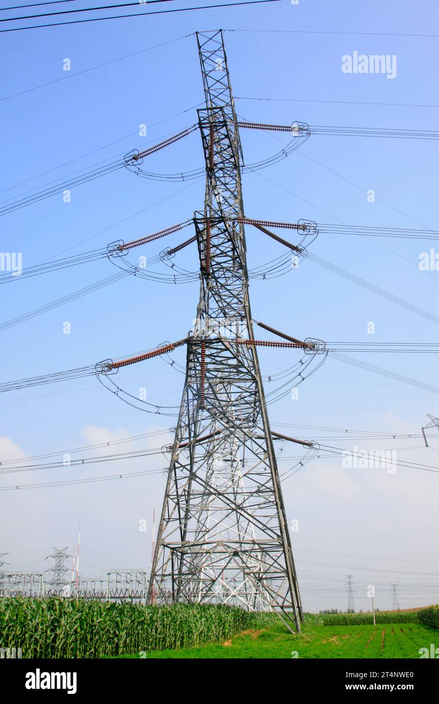 Pylon leaf hi-res stock photography and images - Alamy