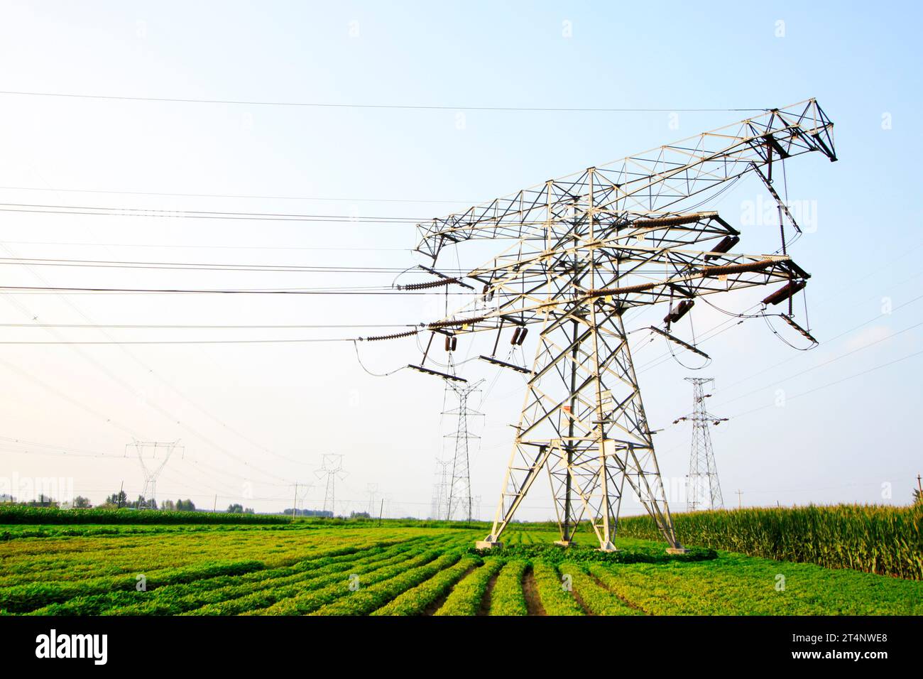 electric tower in the fields, closeup of photo Stock Photo - Alamy