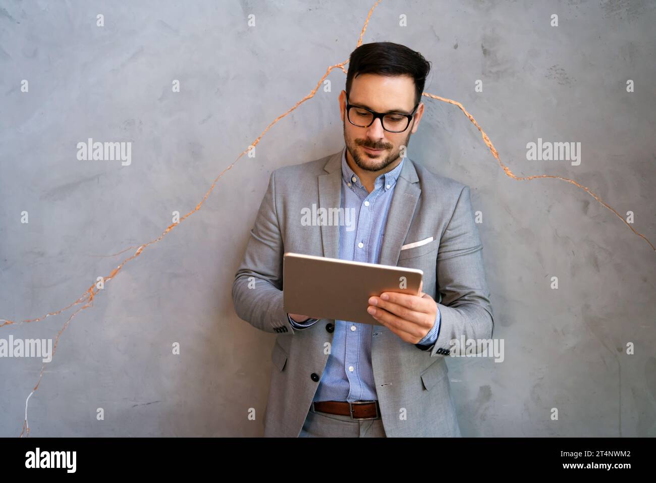 Young smiling successful business man, entrepreneur in formal business ...