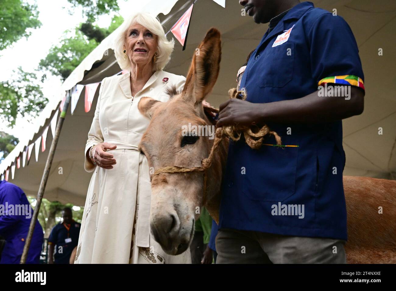 Queen visits donkey sanctuary in hi-res stock photography and images ...