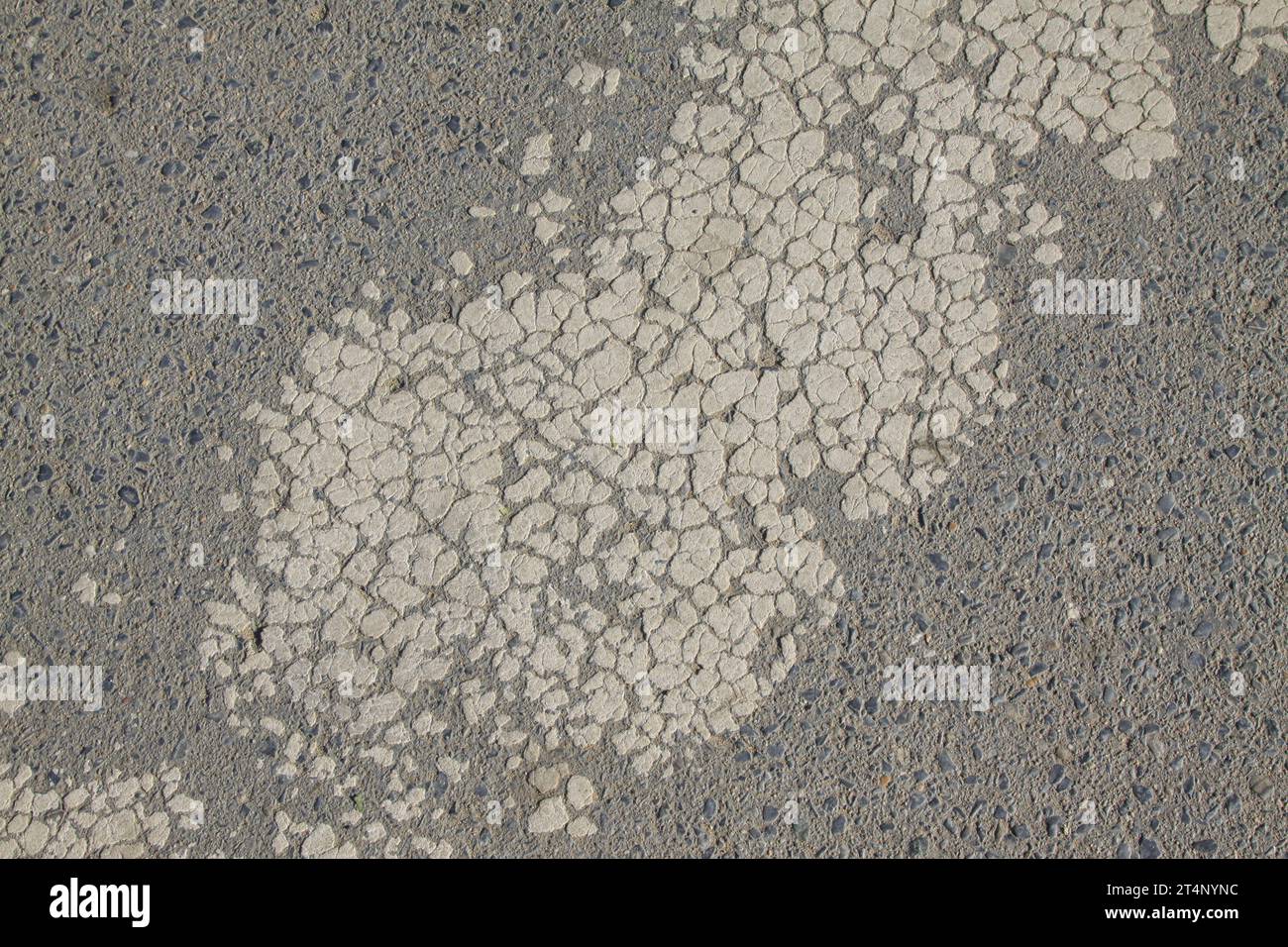 Reticular hi-res stock photography and images - Alamy