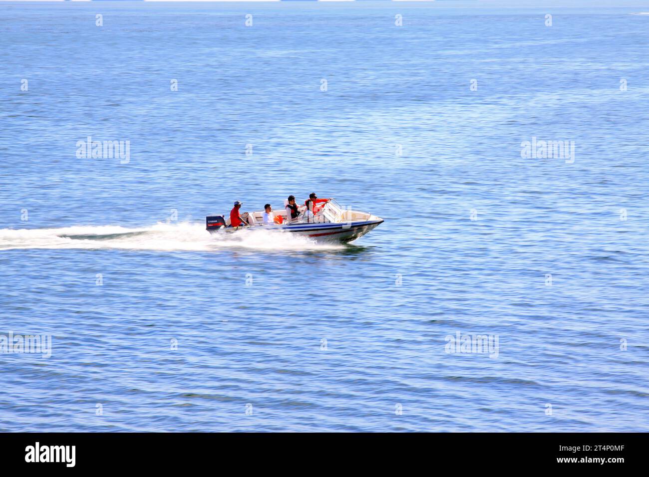 Driving speed boat in the sea Stock Photo - Alamy