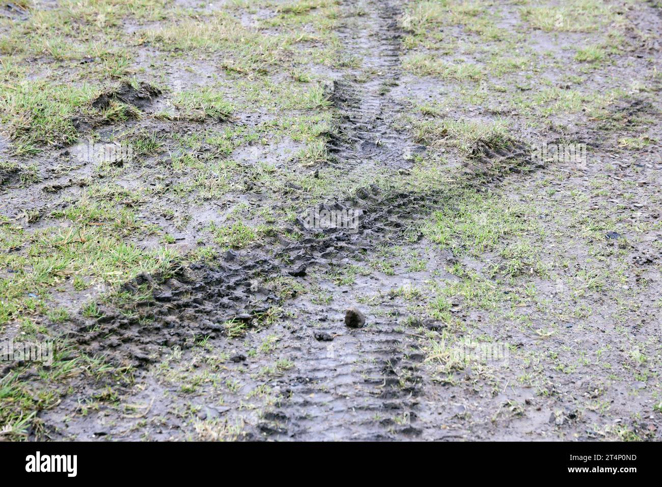 Wheel track on mud. Traces of a tractor or heavy off-road car on brown ...