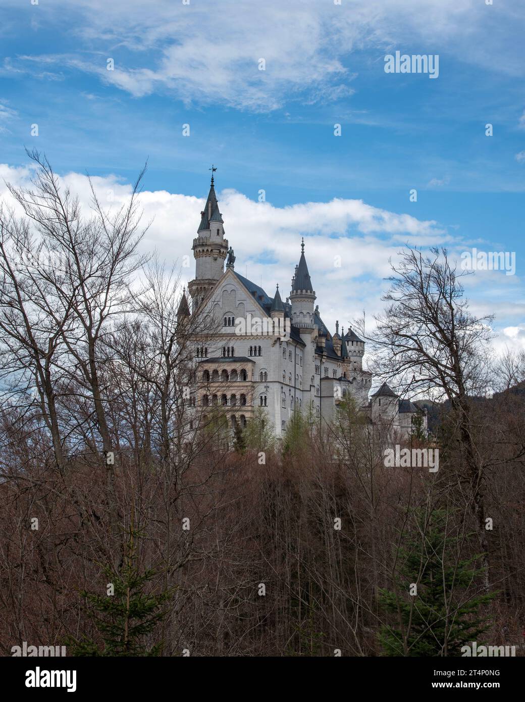 Neuschwanstein Castle at the foothills of the Alps in the south of ...