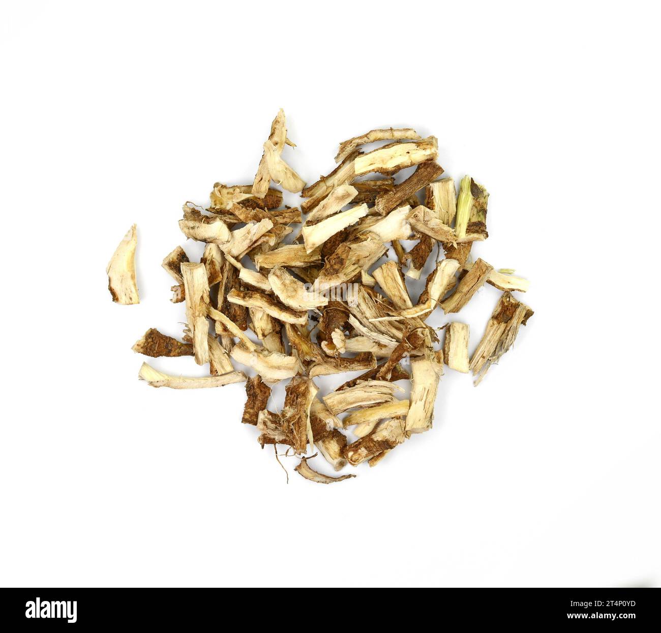 herbal medicine - dry ingredient chicory root, for the preparation of ...