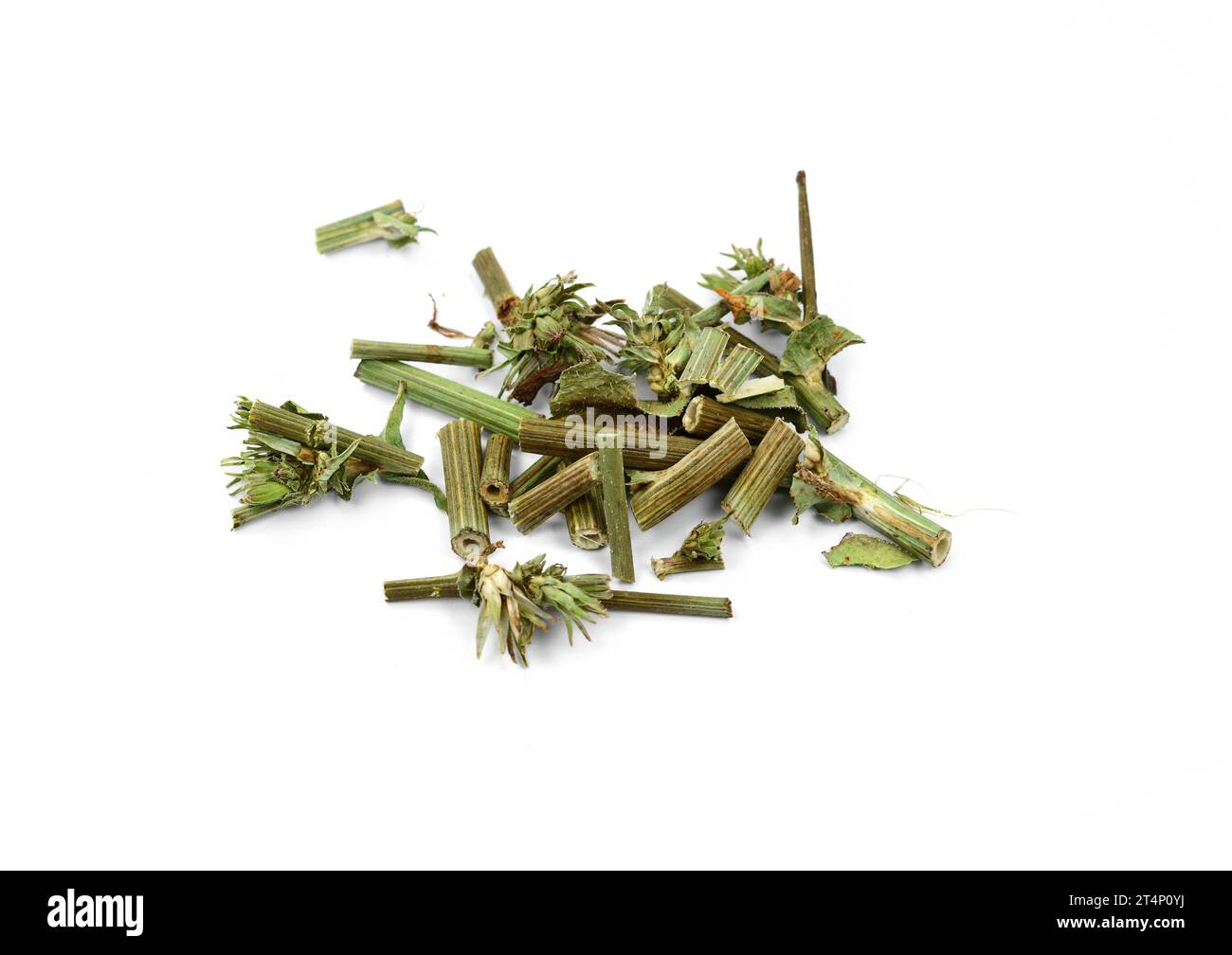 herbal medicine - dry ingredient chicory branches, for the preparation ...