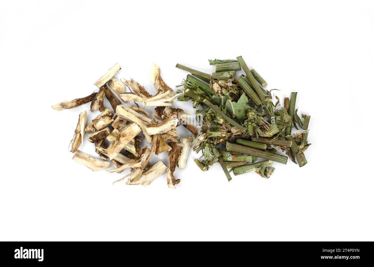 herbal medicine - dry ingredient chicory root, dry ingredient chicory ...