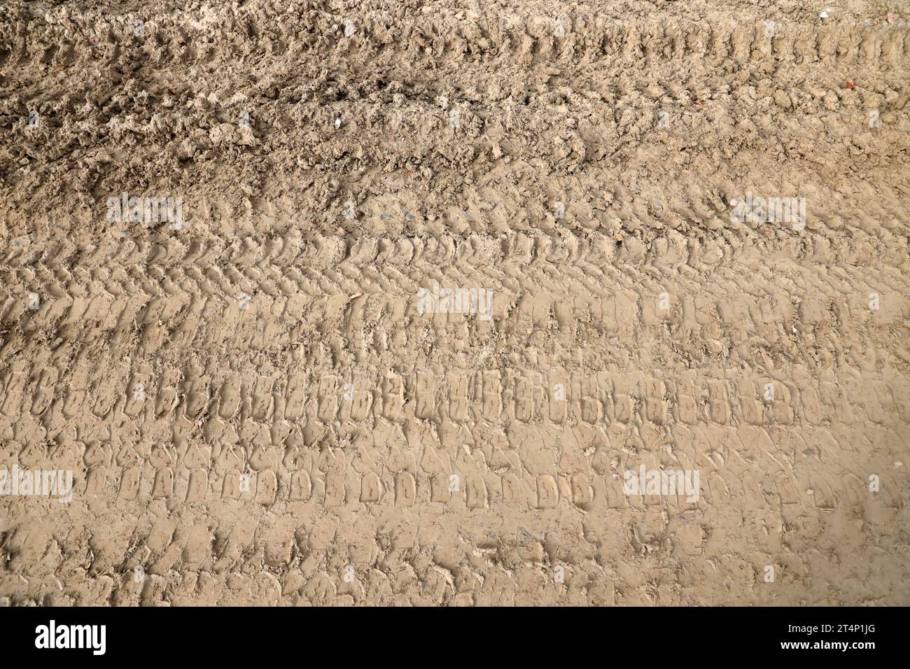 Wheel track on mud. Traces of a tractor or heavy off-road car on brown ...