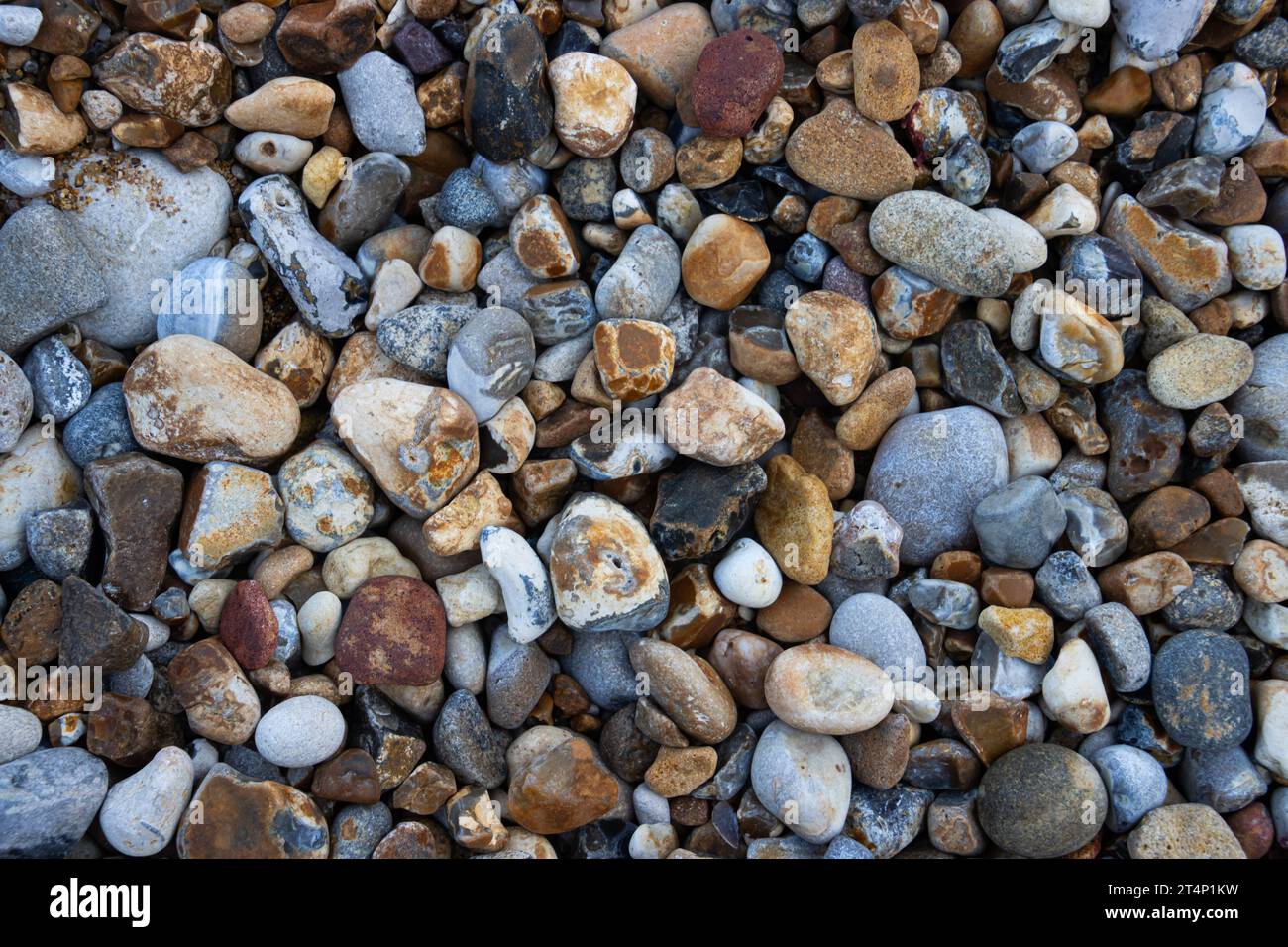 Colorful sea pebbles and rocks for natural background Stock Photo - Alamy