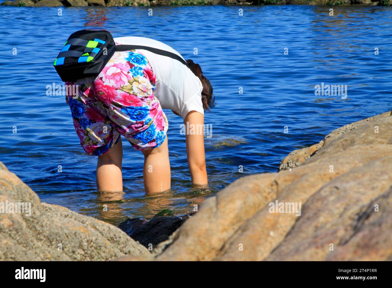 A woman make pebbles on the beach Stock Photo - Alamy