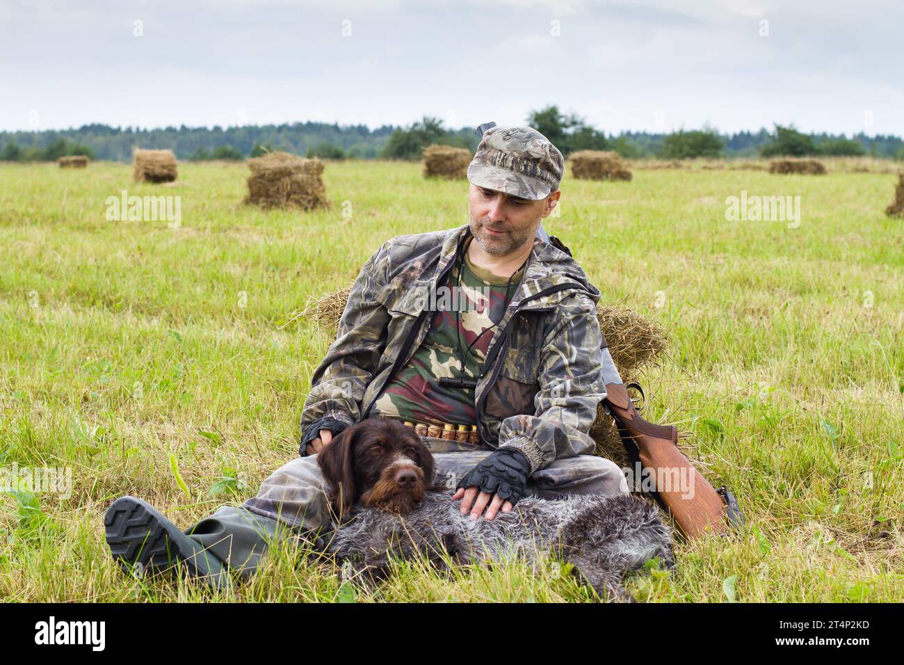 hunting dog resting at the feet of the hunter on the hayfield during ...