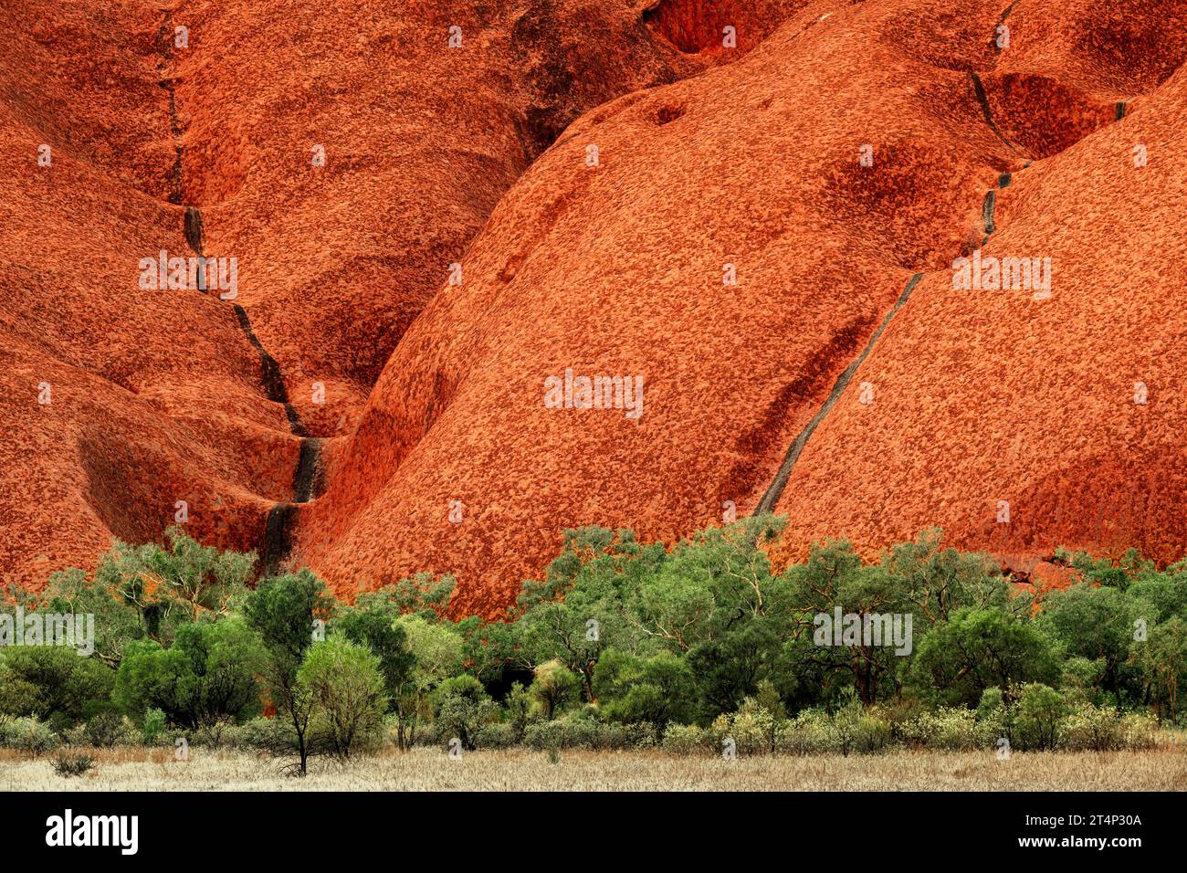 Red slopes of famous Uluru in Central Australia Stock Photo - Alamy