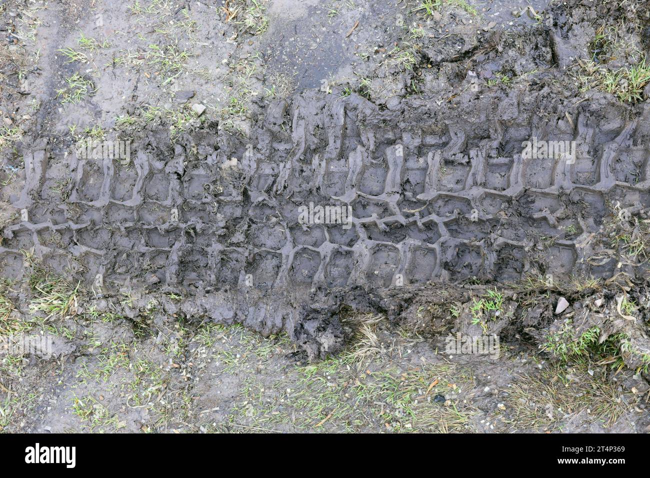 Wheel track on mud. Traces of a tractor or heavy off-road car on brown ...