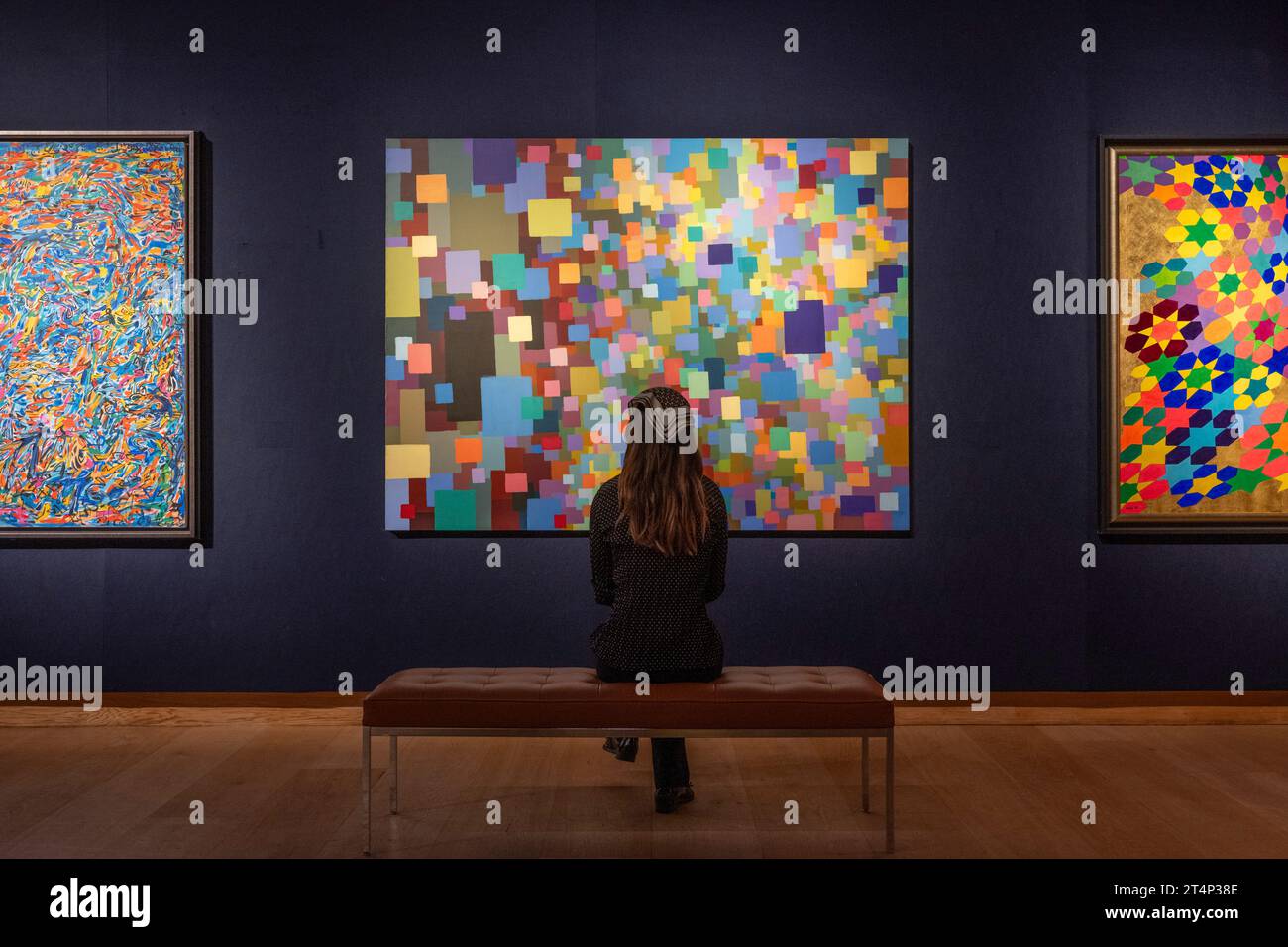 Artist samia halaby hi-res stock photography and images - Alamy