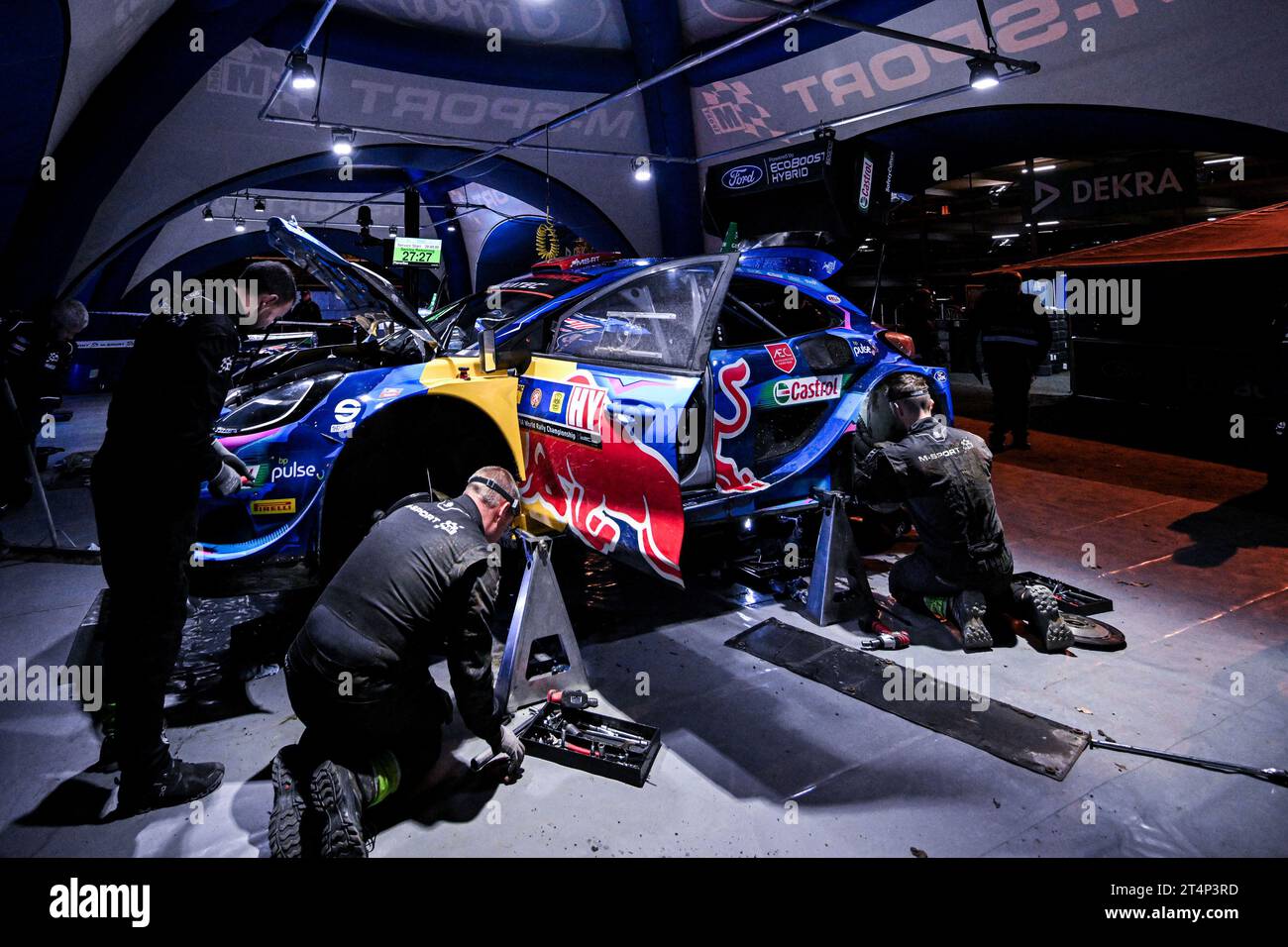 During,Fia World Rally Championship Wrc Central European Rally, In ...