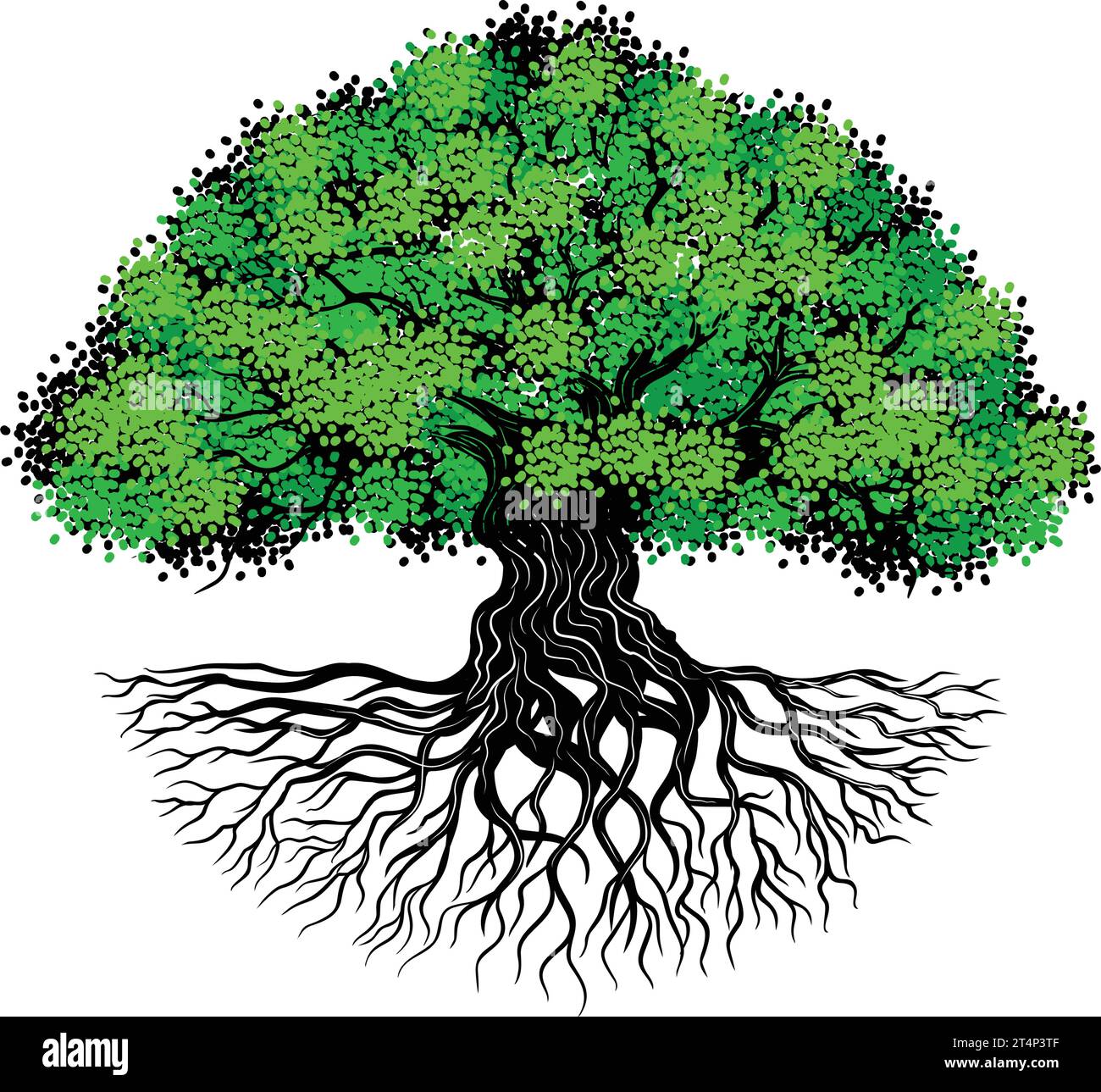 Vintage tree roots Cut Out Stock Images & Pictures - Alamy