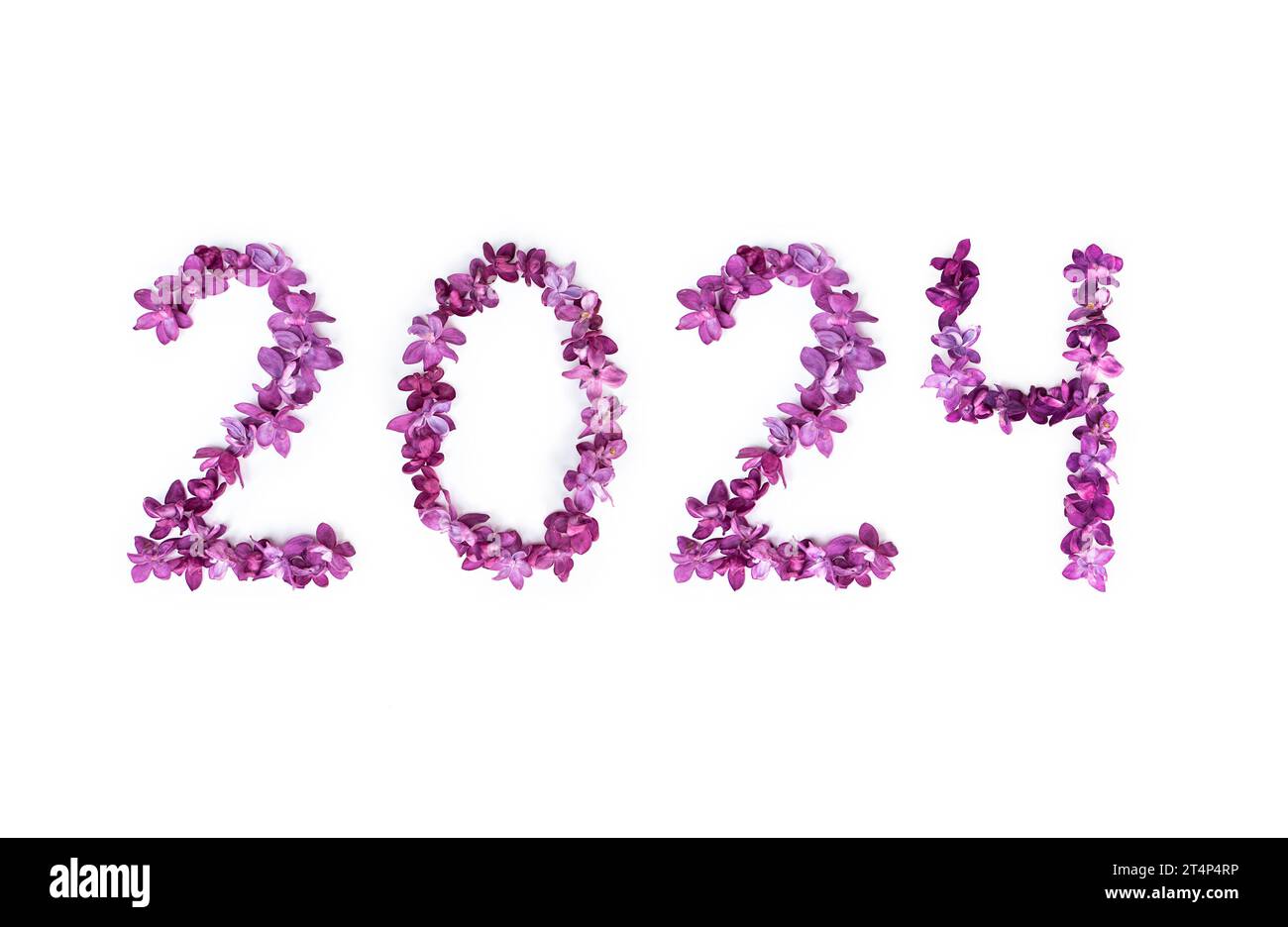 New year 2024 made of lilac flowers on white background Stock Photo - Alamy