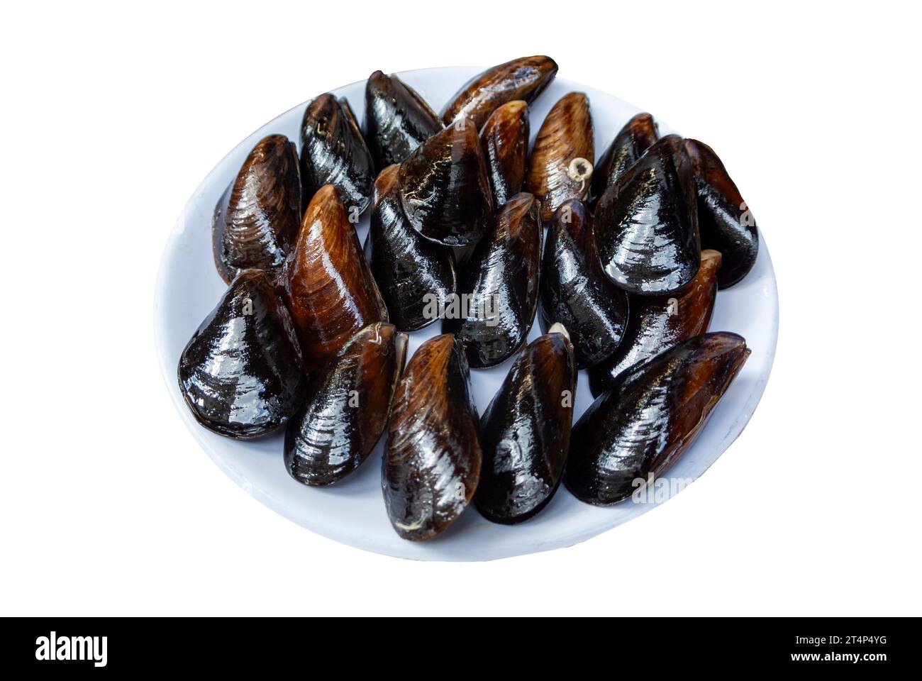 midye dolmasi is stuffed mussels that is a traditional turkish food ...