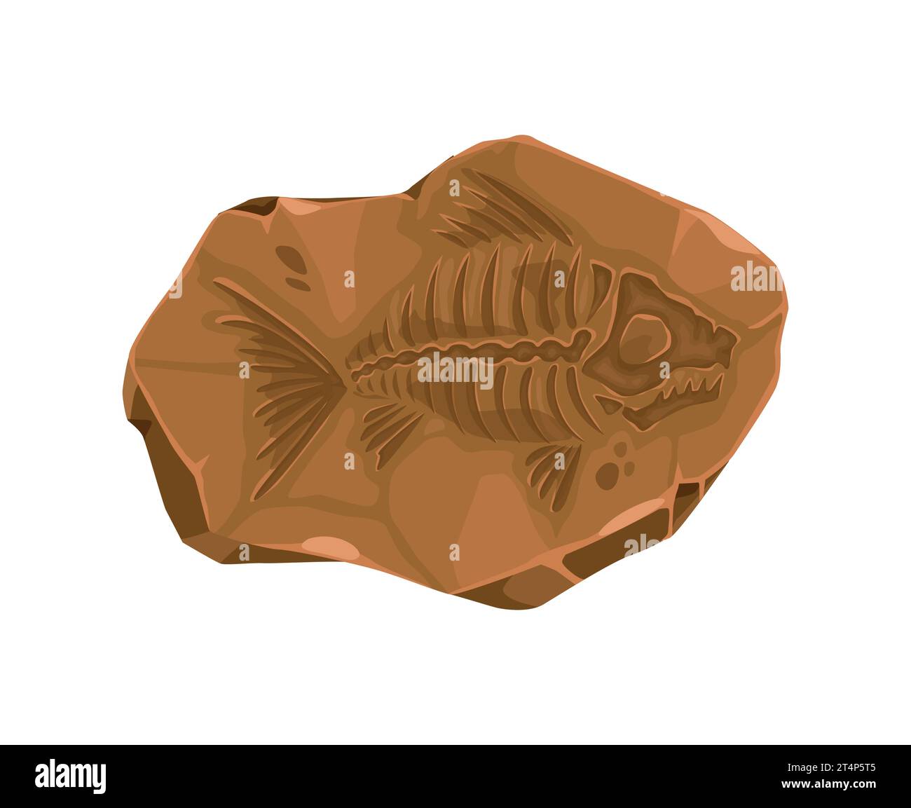 Ancient fish fossil imprint in stone. Prehistoric aquatic animal bones ...